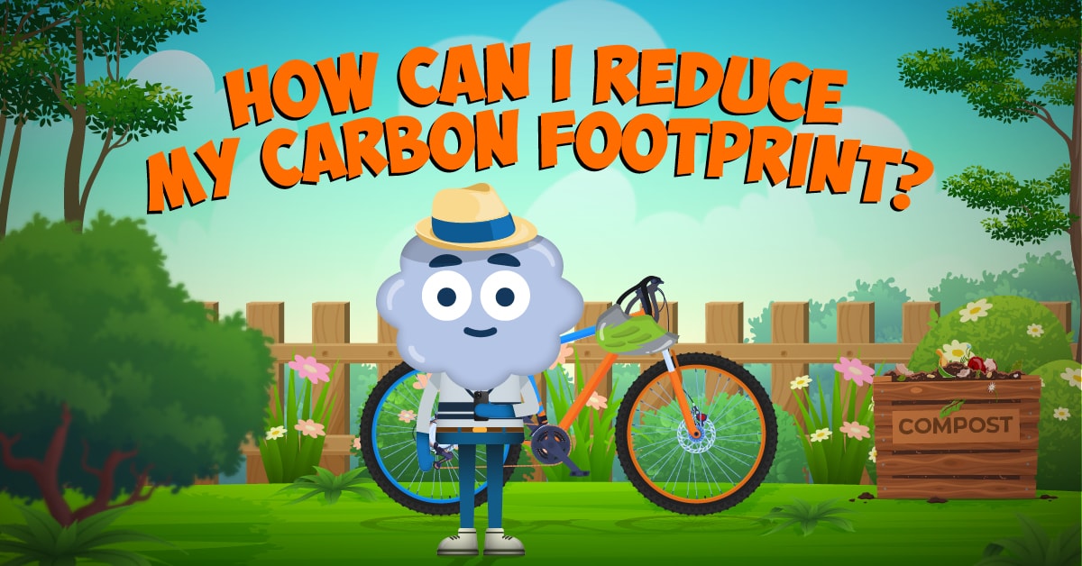 How can I reduce my carbon footprint? | TalentLibrary